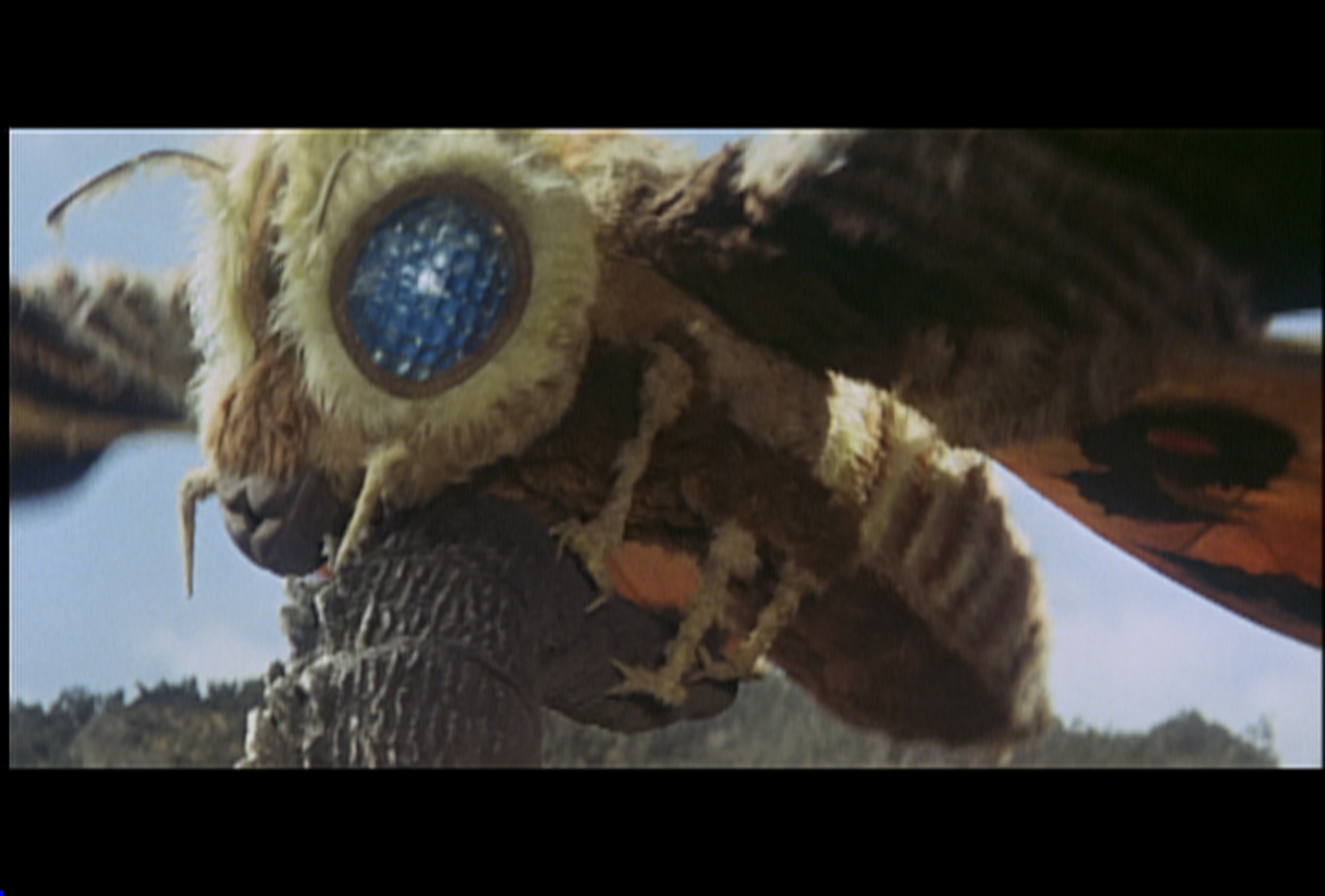 EverythingScary - Movie Photos Mothra vs Godzilla